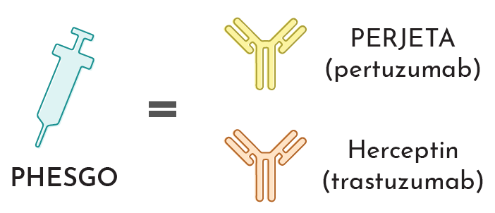 How PHESGO® (pertuzumab / trastuzumab / hyaluronidase-zzfx) works