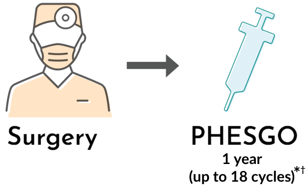 Early & Metastatic Breast Cancer Treatment Schedule | PHESGO ...