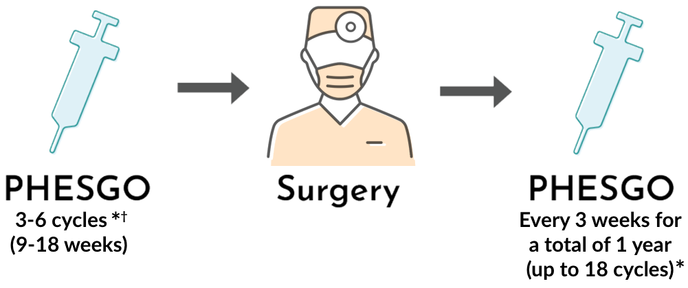 Early & Metastatic Breast Cancer Treatment Schedule | PHESGO ...