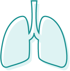 Getting the PHESGO® (pertuzumab / trastuzumab / hyaluronidase-zzfx ...