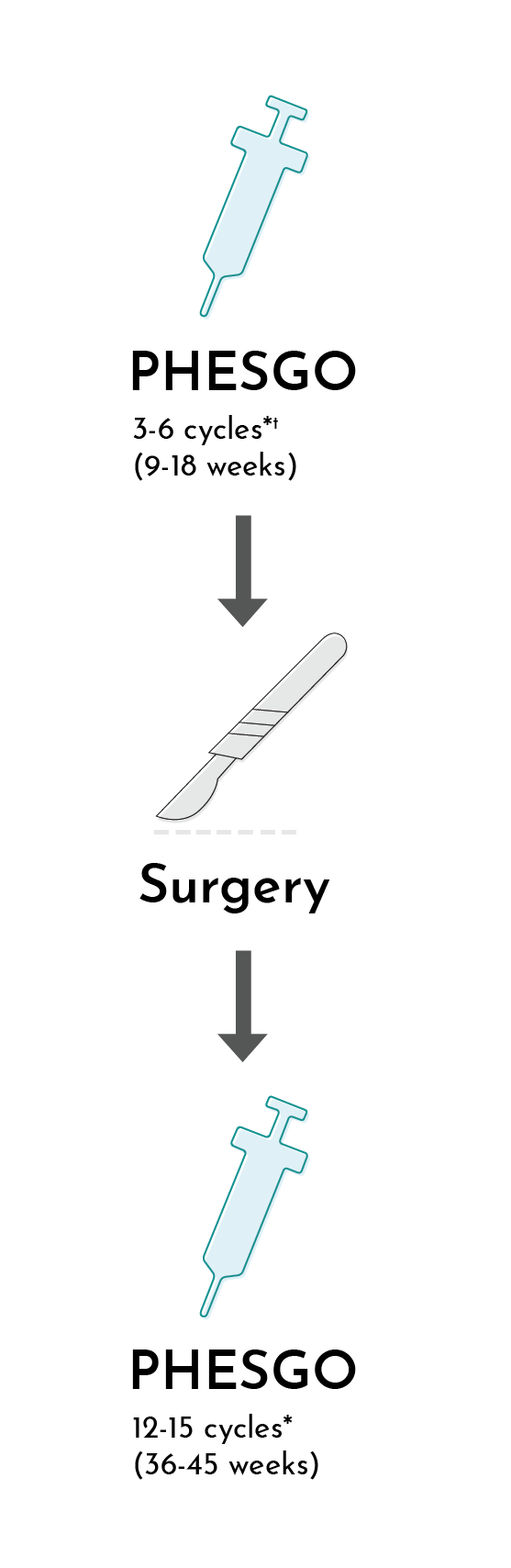 Early & Metastatic Breast Cancer Treatment Schedule | PHESGO ...