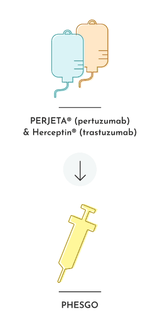 What is PHESGO® (pertuzumab / trastuzumab / hyaluronidase-zzfx)?